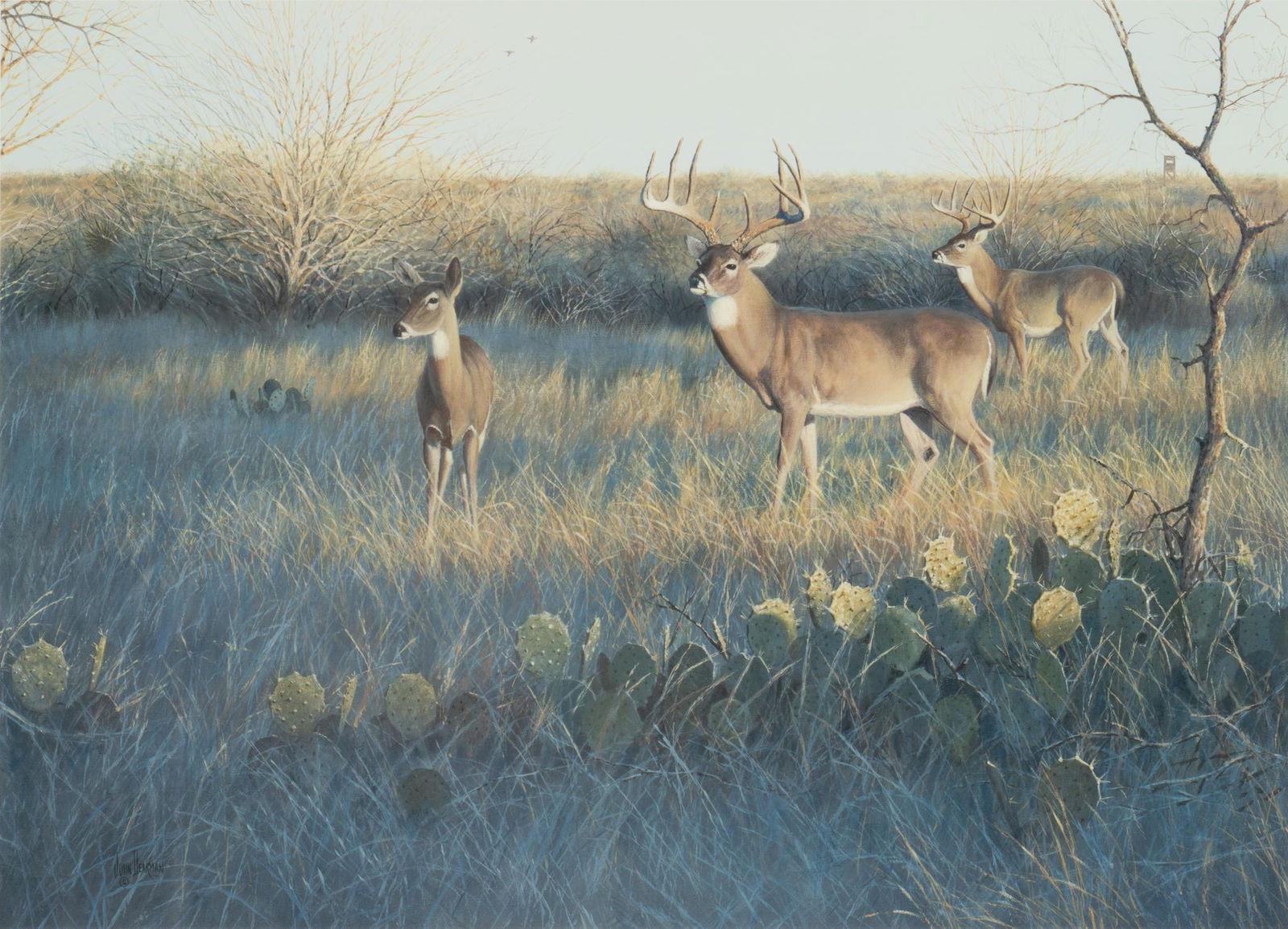 John Dearman, Deer Ap Auction