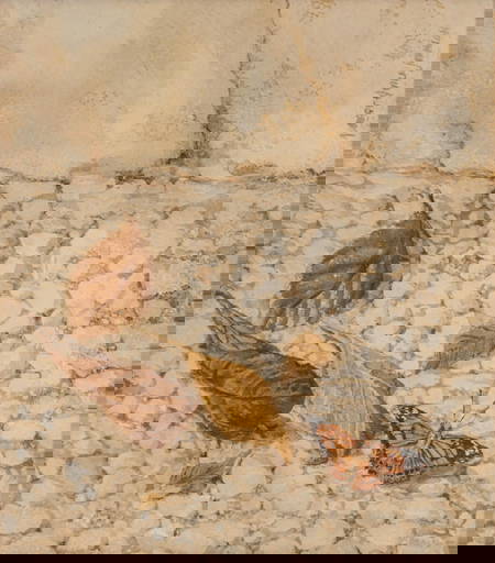 Robert Quill Johnson, Monarch Study