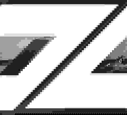 George Tice, Still Life Auction