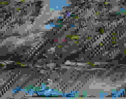 Ruth Dunn, "southern Spring" Auction