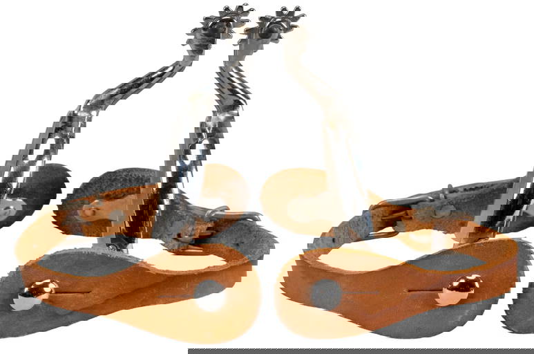 Pair Of Modern Spurs