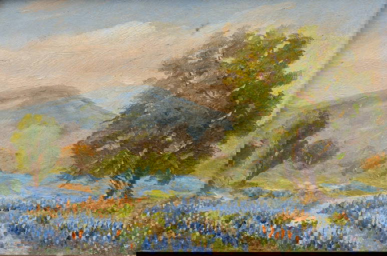 Santa Duran, "oak And Bluebonnets"