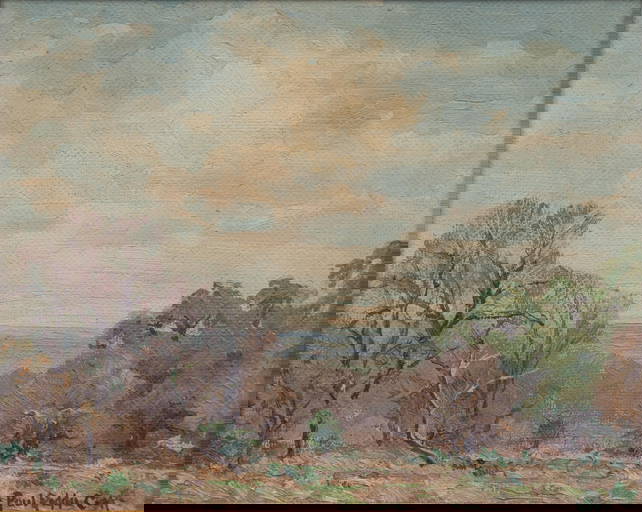 Paul Rodda Cook, Hill Country Vista