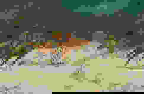 Barbara Garvin, "night Of The First Snow" Auction