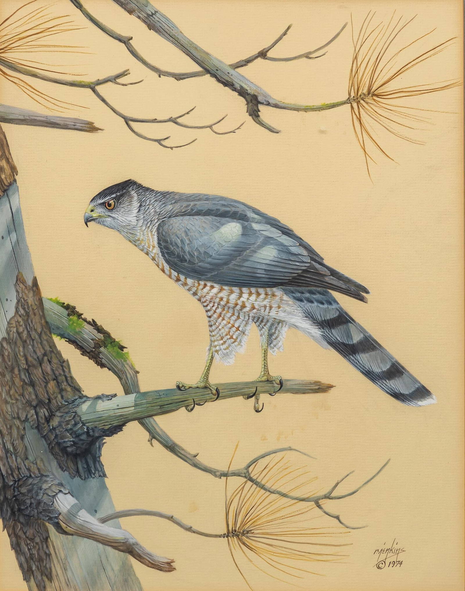 Ron Jenkins, "cooper's Hawk", 1974 Auction