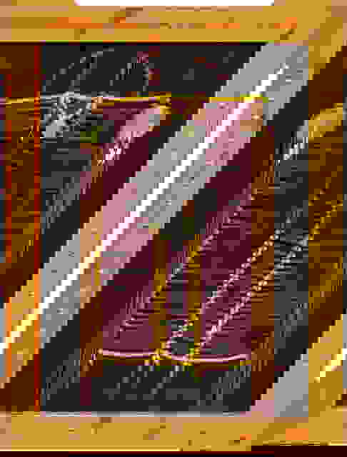 Native American Style Bone Breastplate Auction