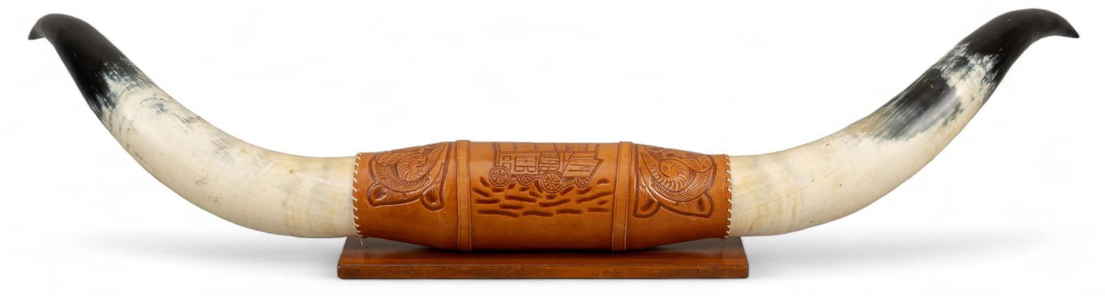 Set Of Tony Lama Longhorn Horns Auction