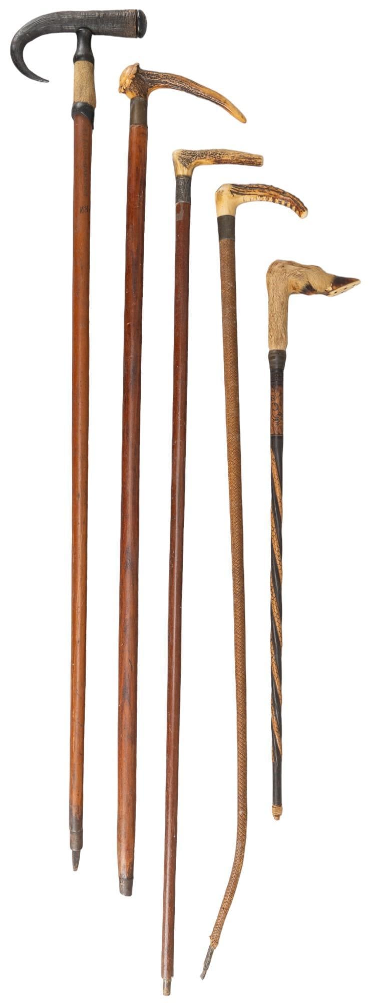 (5) Taxidermy Walking Sticks Auction