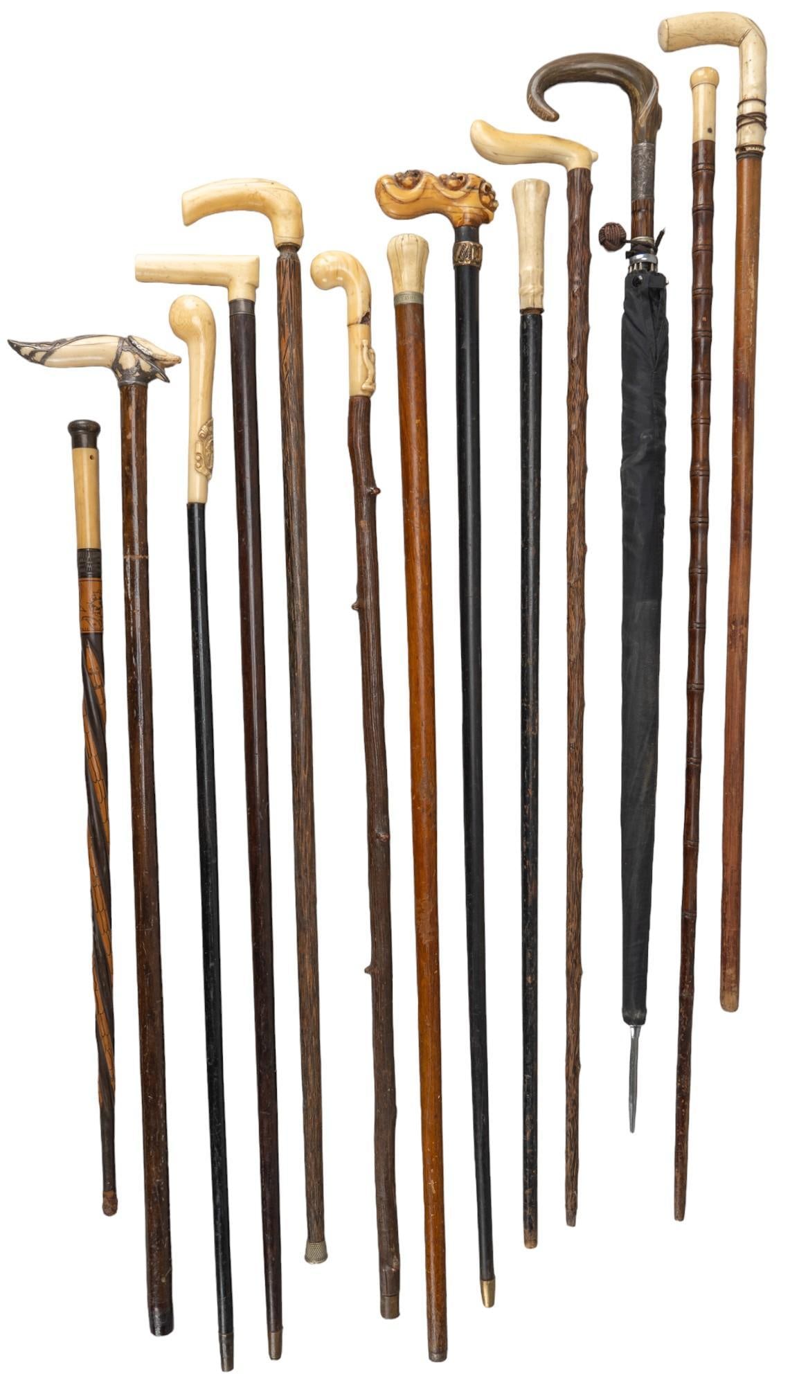 (12) Walking Sticks Auction