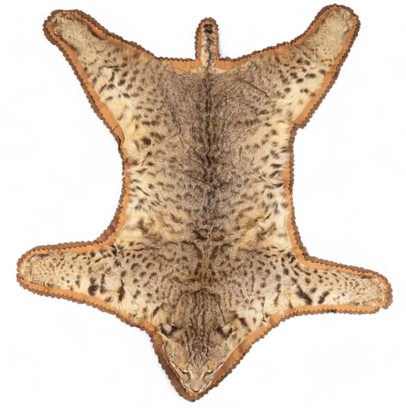 Bobcat Taxidermy Rug Auction
