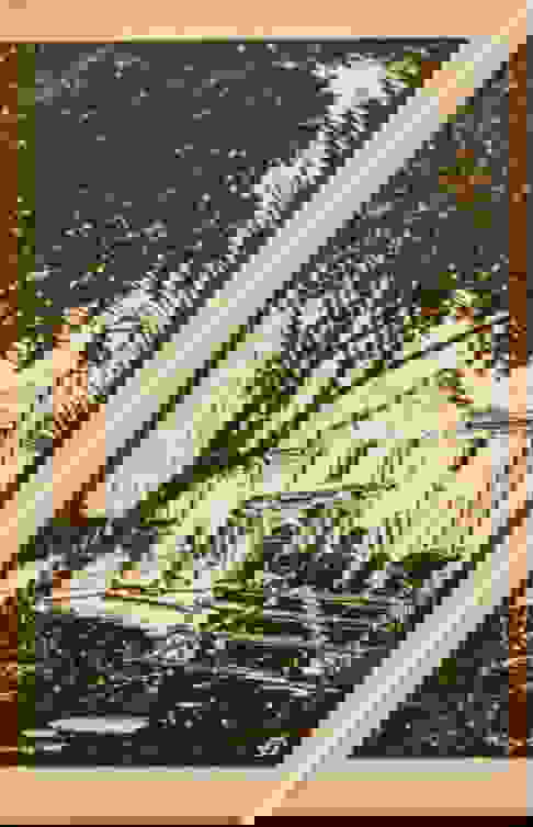 Mary Bonner, The Alamo Auction