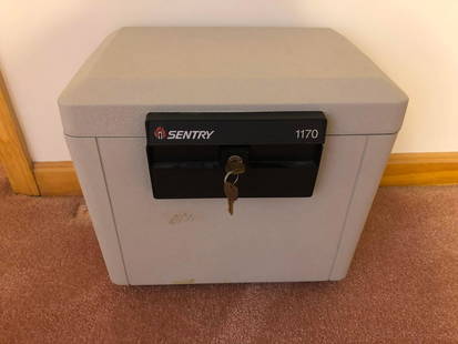 Sentry Safe