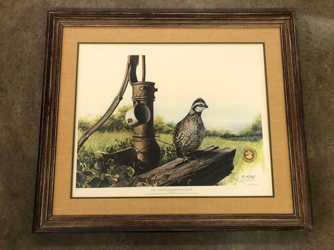 The Tennessee Bobwhite Quail By R. Mcdonald