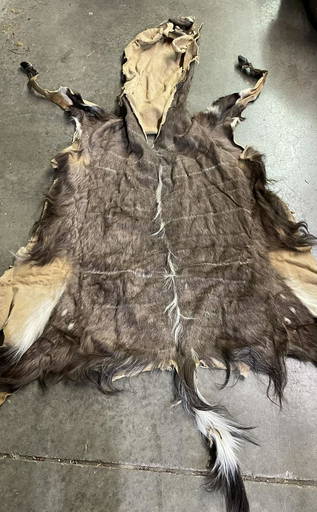 Nyala Full Body Hide