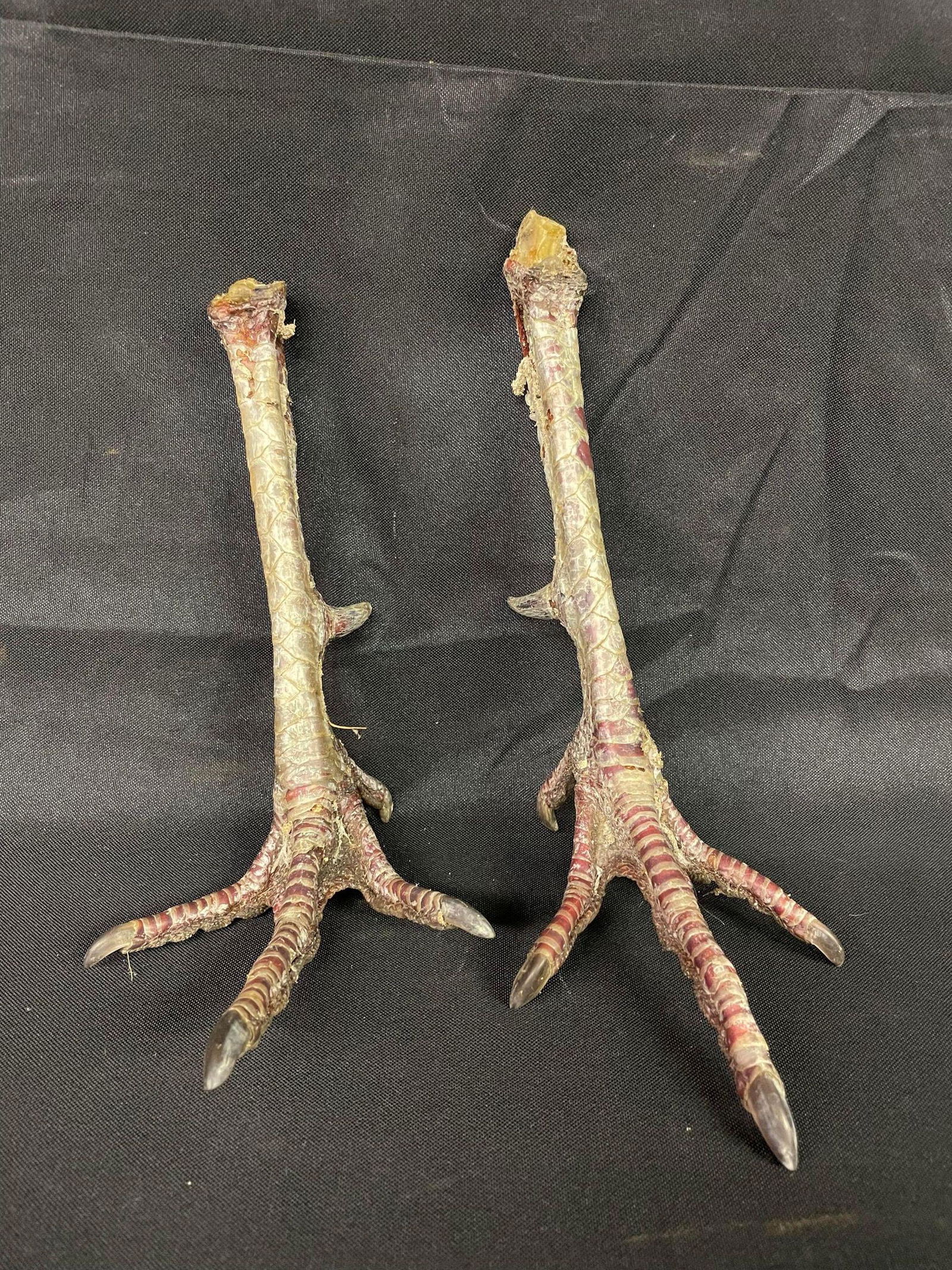 Turkey Feet With Spurs