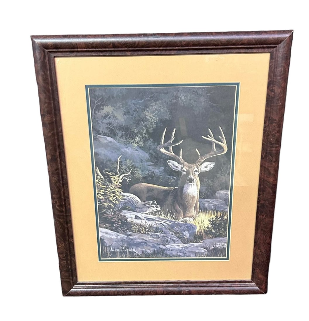 Deer Print In Frame By Wade Butler, 18"w X 22"t Auction