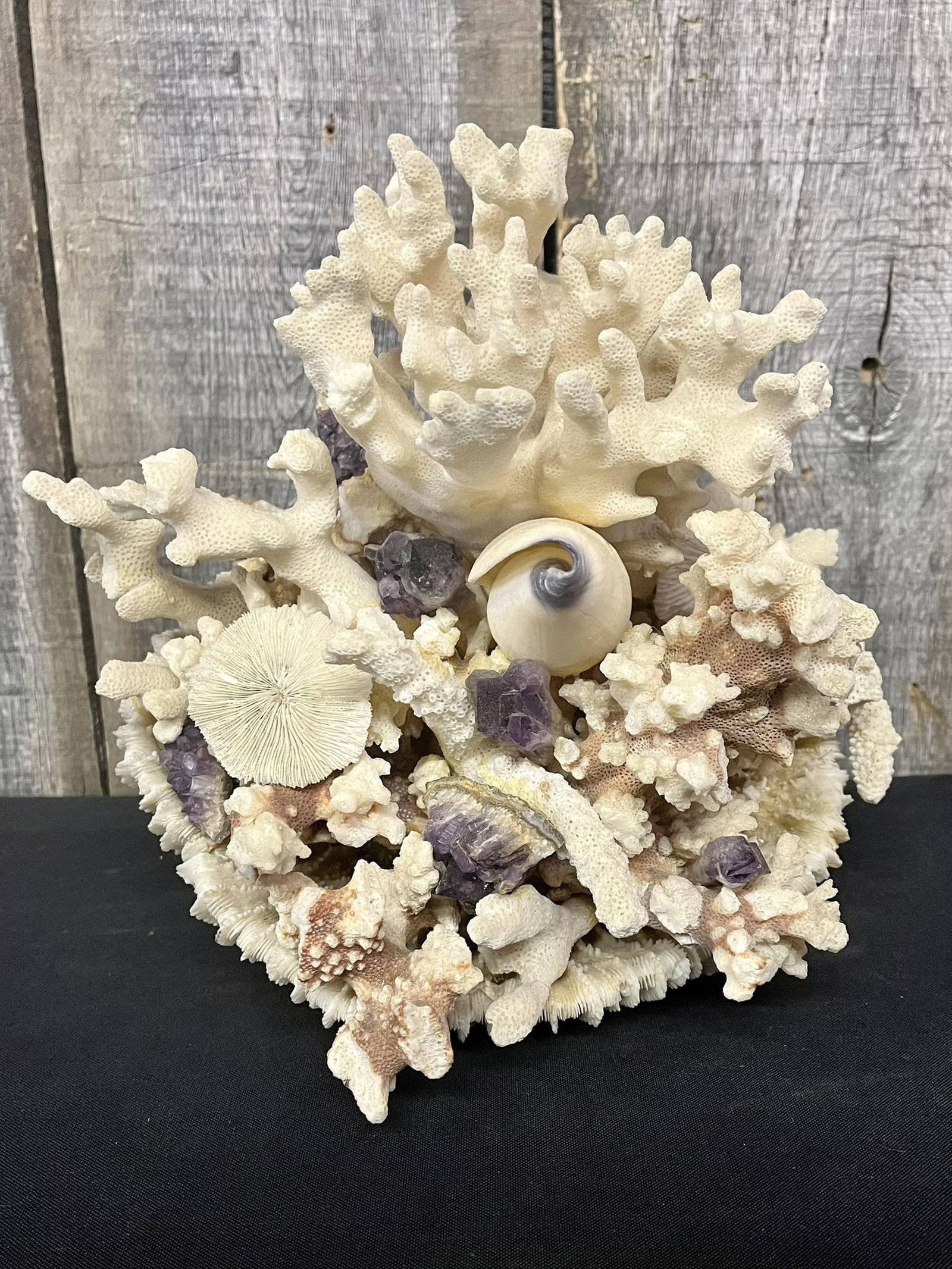Dried Coral Reef Bunch With Seashell Auction