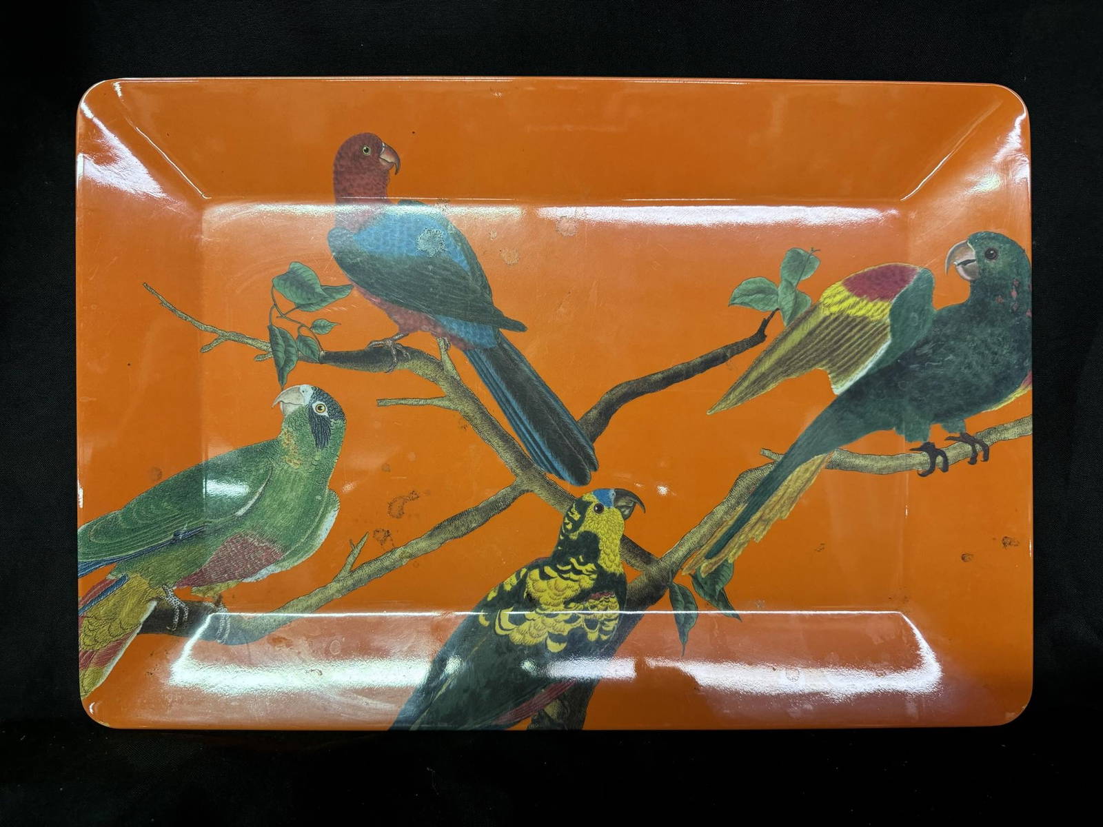 Vintage Parrot 20" Server Auction