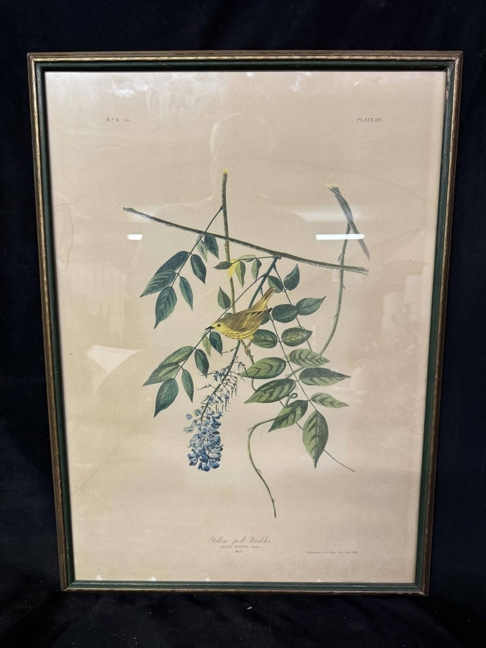 Audubon, John James (1785-1851) Yellow-poll Warbler. From "the Birds Of ...