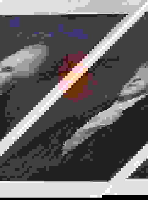 George Washington After Charles Willson Peale Auction