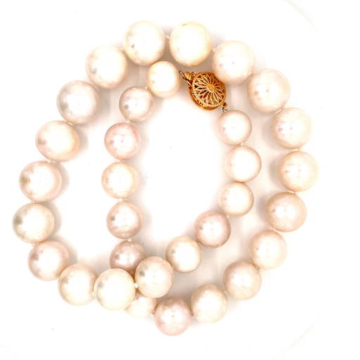 Big “south Sea” Pearls
