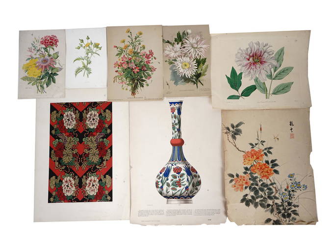 Vintage Botanical Flower Print Collection