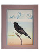 GRAHAM KAYE - NAVAJO INDIAN RESERVE PAINTING - Apr 10, 2022 | Great ...