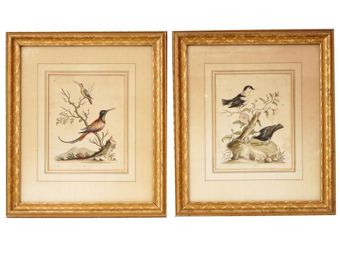 ENGLISH HAND COLORED ETCHINGS BY GEORGE EDWARDS (#0053) on Dec 24, 2022 ...