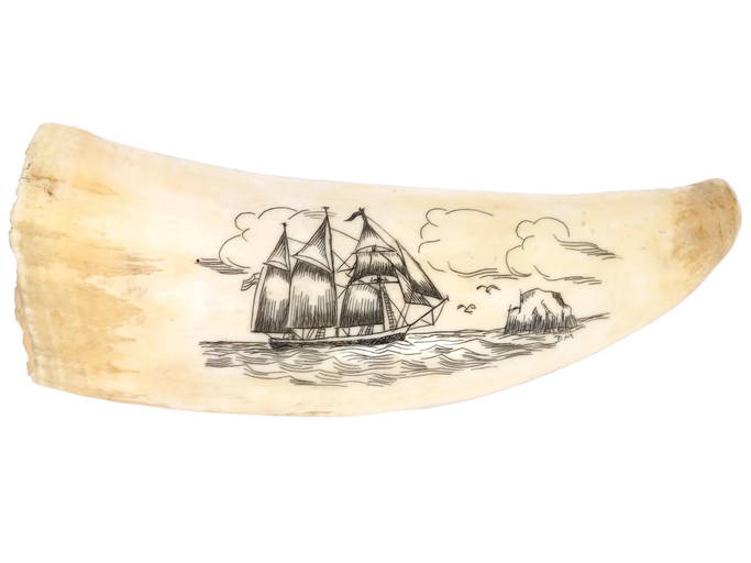 Mid Century American Naval Scrimshaw Engraving