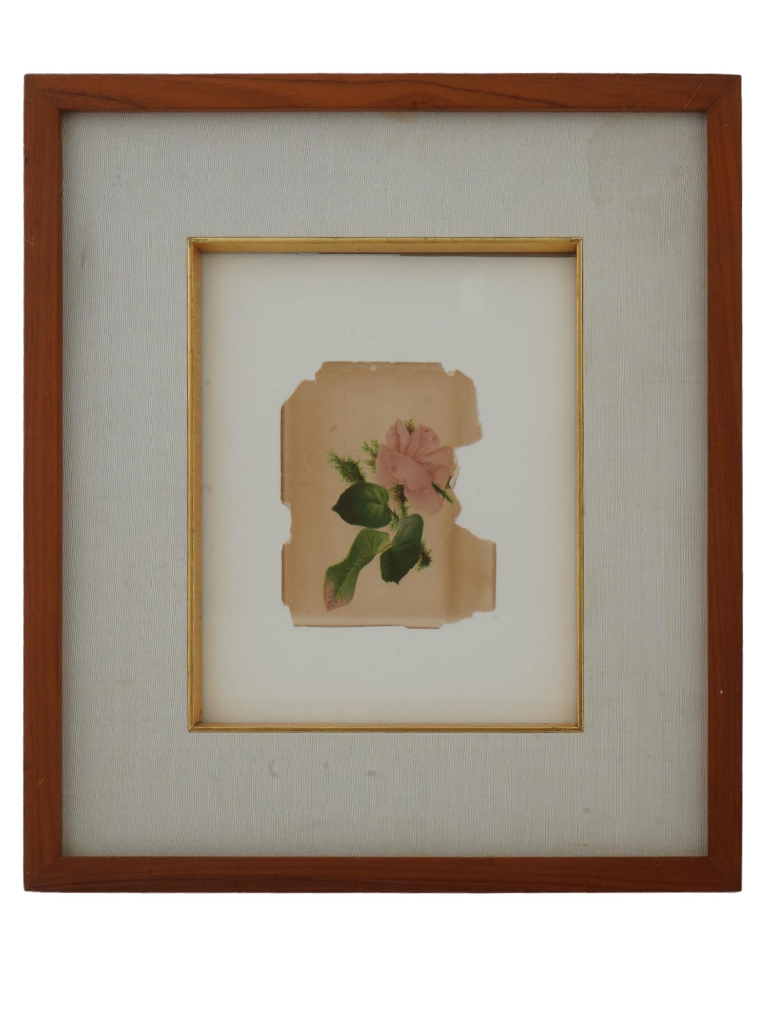 George Ehret Antique Watercolor Rose Painting Auction