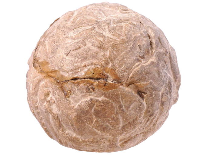 Ancient Mesopotamian Sumerian Clay Bulla Seal