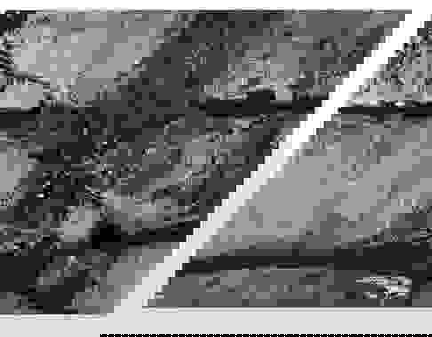 Howard Bond: Rock Wal, Volcanic Lakes Auction