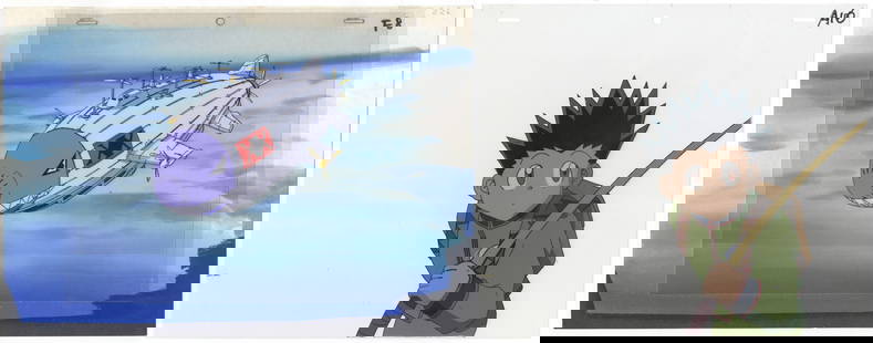 Set Of 2, Hunter X Hunter, Original Japanese Production Cel