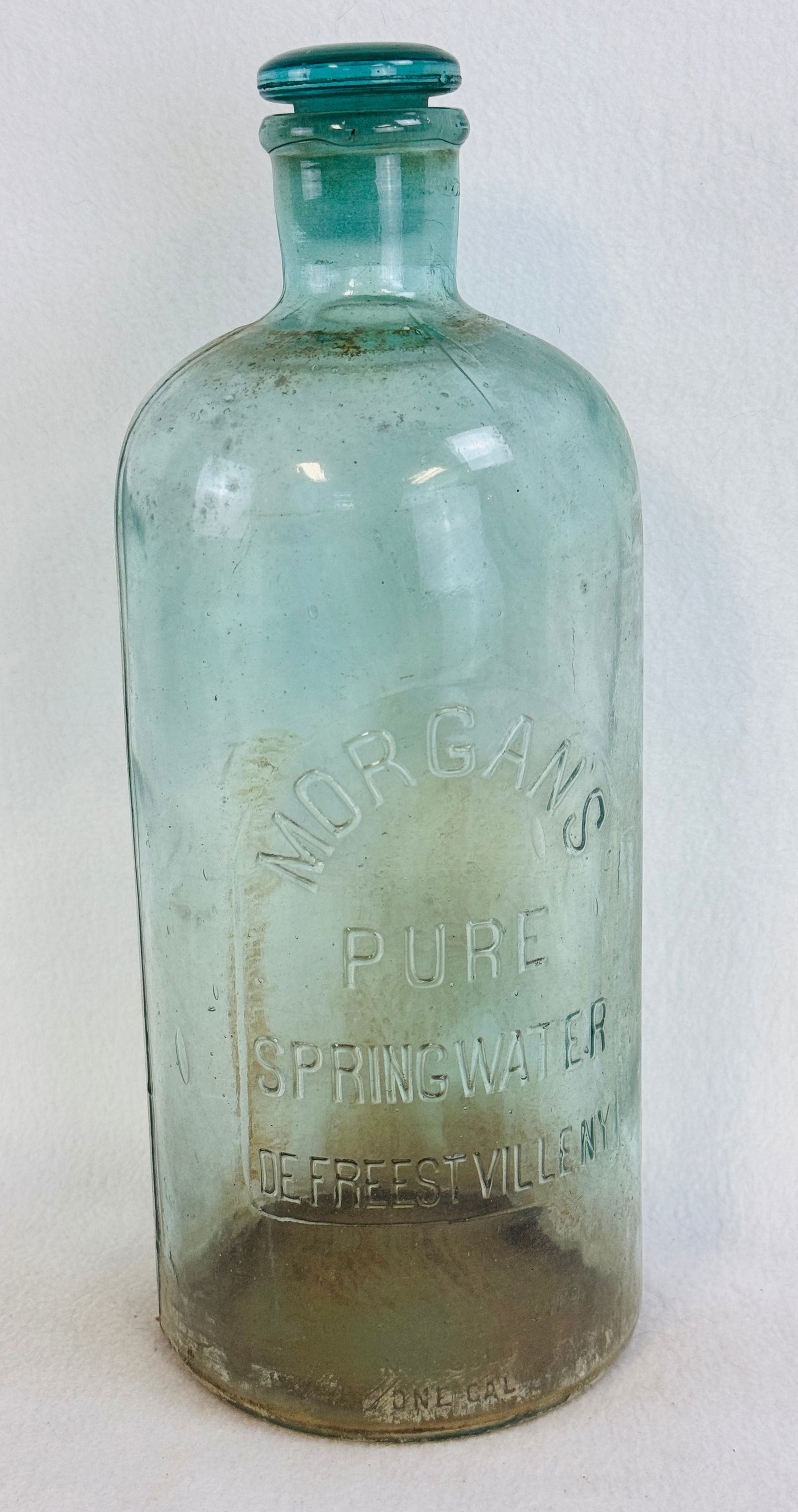 Morgan's Spring Water Defreestville N.y. Auction