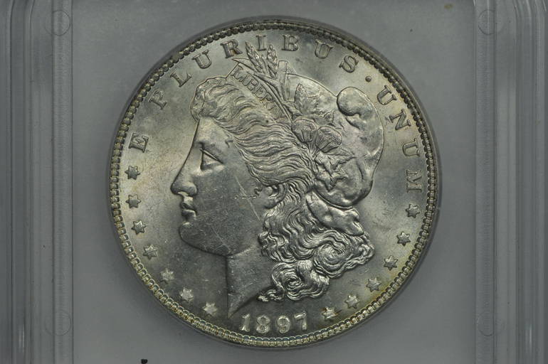 $1.00 Silver 1897, Vam 6a "pitted Reverse". A "top 100"