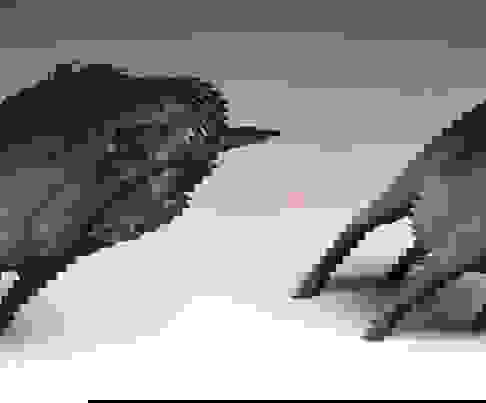 American Cast Iron Boar Desk Bell. Auction