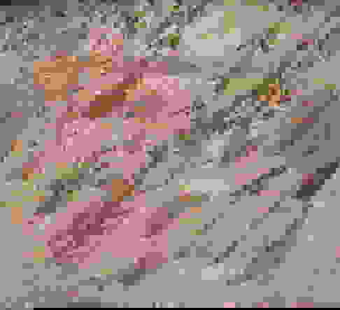 Hunter By Carl Springer (1874-1935). Auction