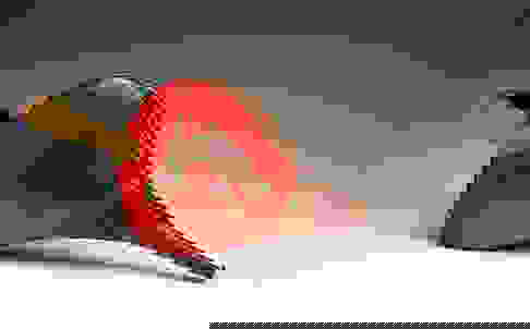 New England Paint-decorated Bellows. Auction