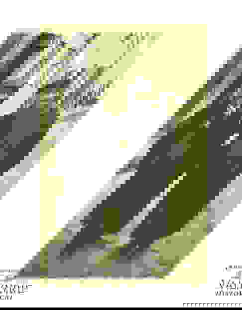 Photo Of 2 Jews Posing With Stars Of David Attached To Their Coat In ...