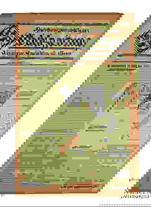 German Tabloid "election Newspaper. Reichstag Elections 1929. Social ...