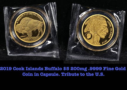 2019 Cook Islands Buffalo $5 200mg .9999 Fine Gold Coin In Capsule And Bag, Packed With Coa. Tribute