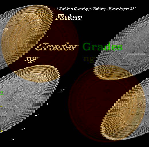 1 Dollar Gaming Token, Flamingo Lv Grades