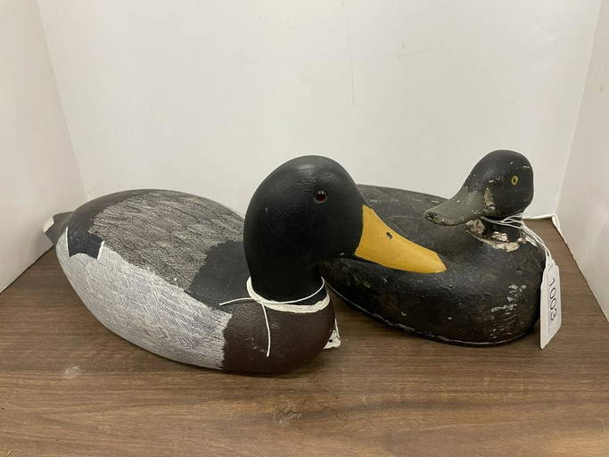 2 Decoys Incl 1 Hollow Body Decoy