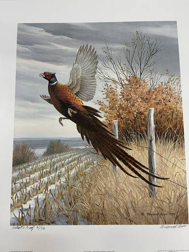 Group Of Limited Edition Prints By Maynard Reece