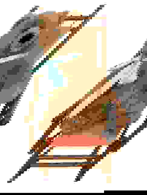 Steiff Bear And Rocker Auction