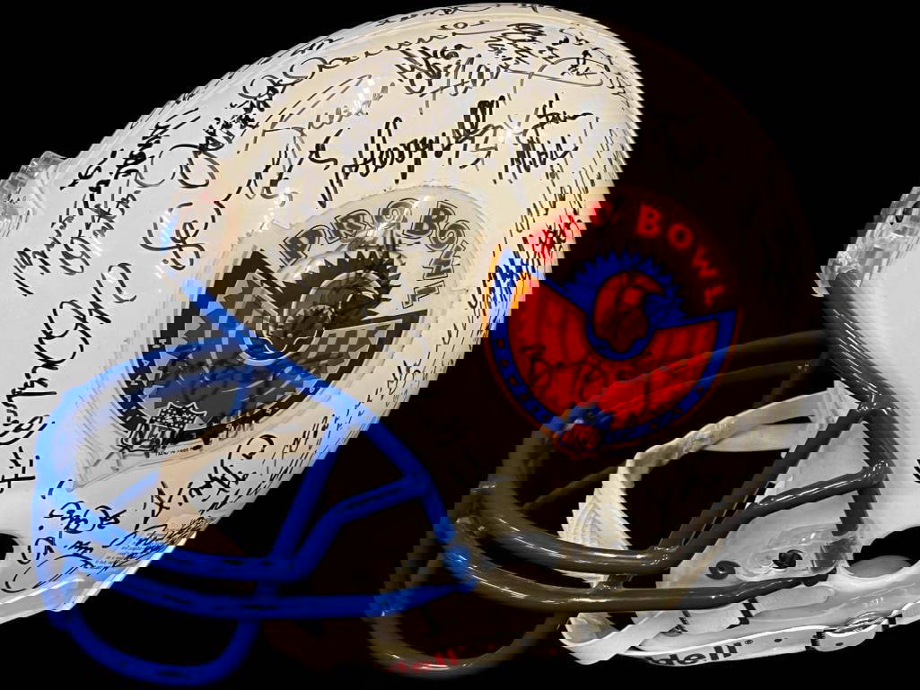 1996 Nfl Pro Bowl Hawaii Autographed Helmet Auction