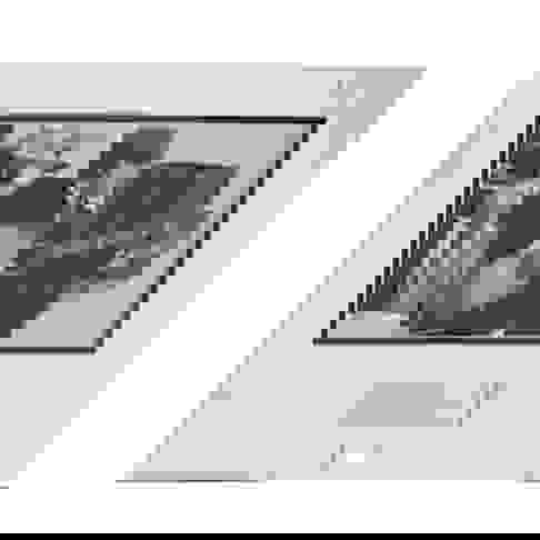 John Lennon Of The Beatles Signed Mounted Autograph Cut Auction