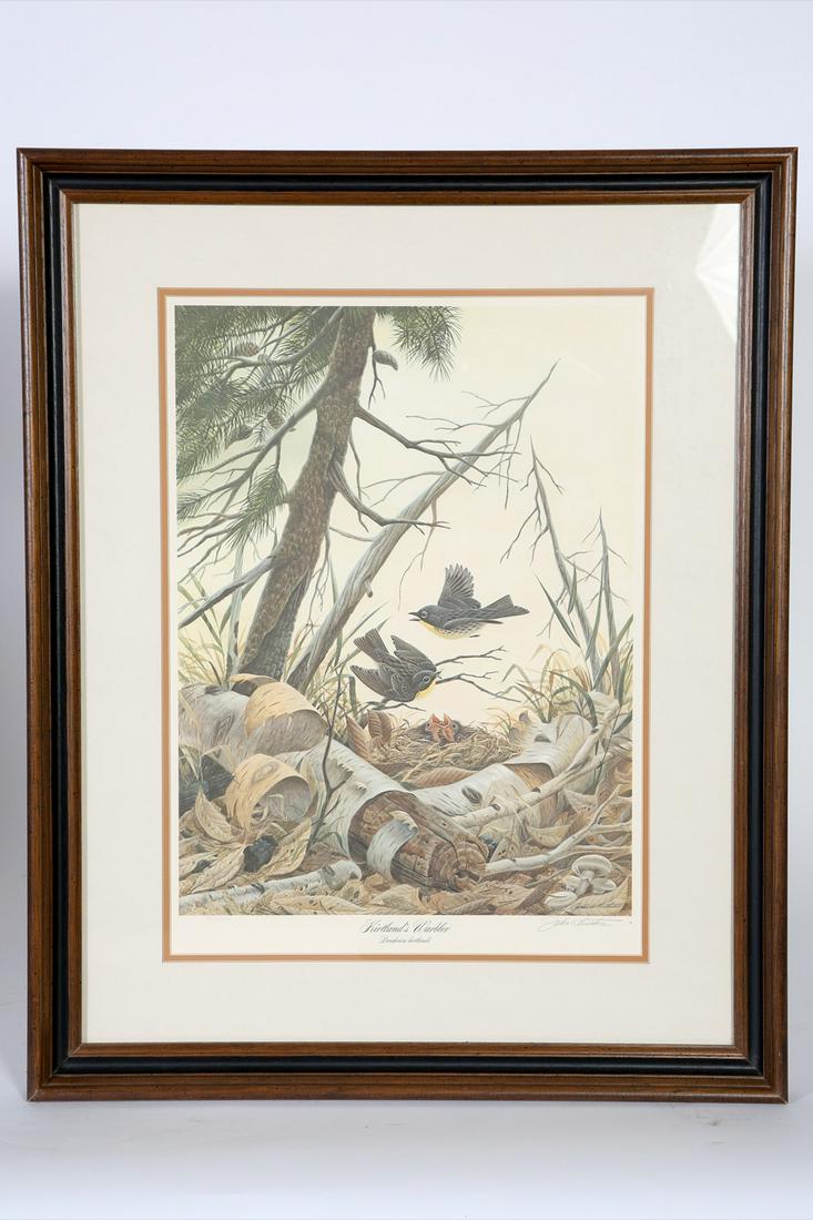 John A. Ruthven Kirtland's Warbler Print
