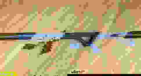 Tr Enabling Tre-308 7.62 X 51 Semi Auto Free Floating Barrel Rifle ...