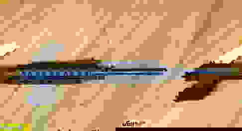 6.8 Arp Upper. Like New Condition . 16.25" Barrel. Ar15 Upper, 8" Hand ...